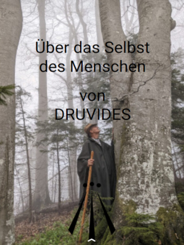 Über das Selbst des Menschen - Druvides